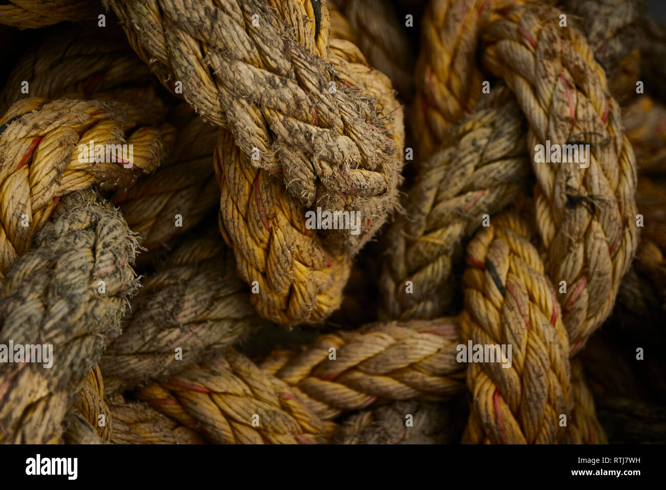 Fibre to the premise hi-res stock photography and images - Alamy