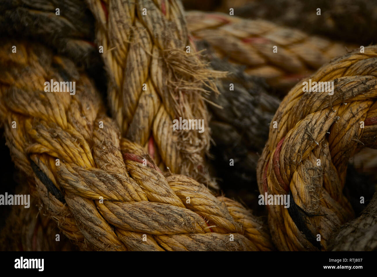 Twisted rope abstract still-life Stock Photo - Alamy