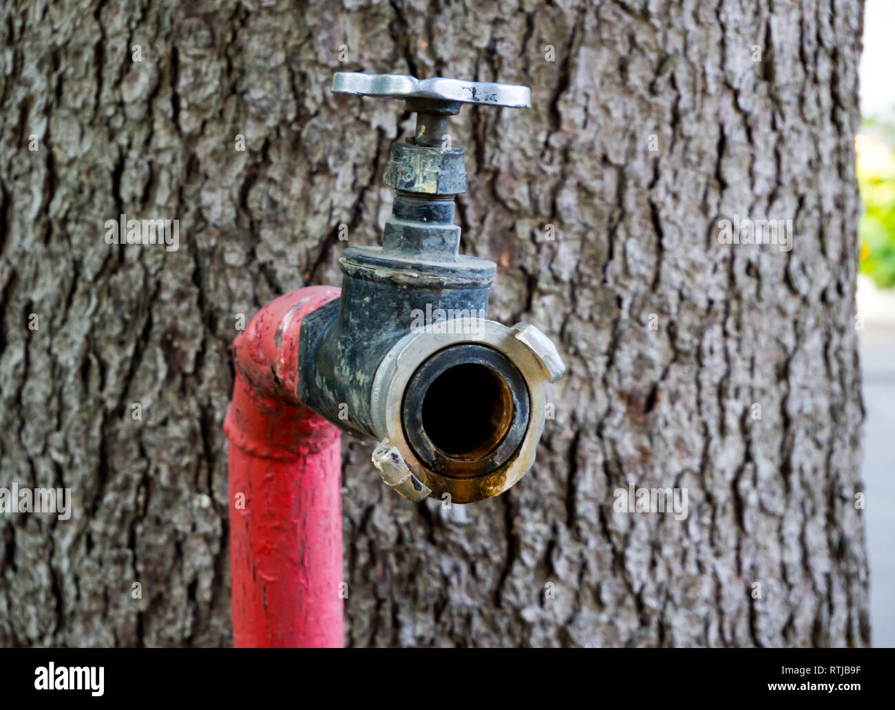 Fire hydrant in plants hi-res stock photography and images - Alamy