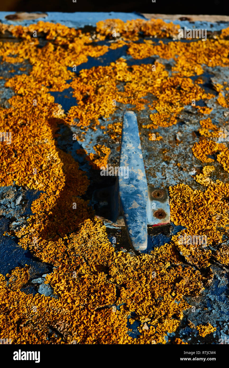 Colourful abstract natural patterns, intimate landscapes, Kent, England ...