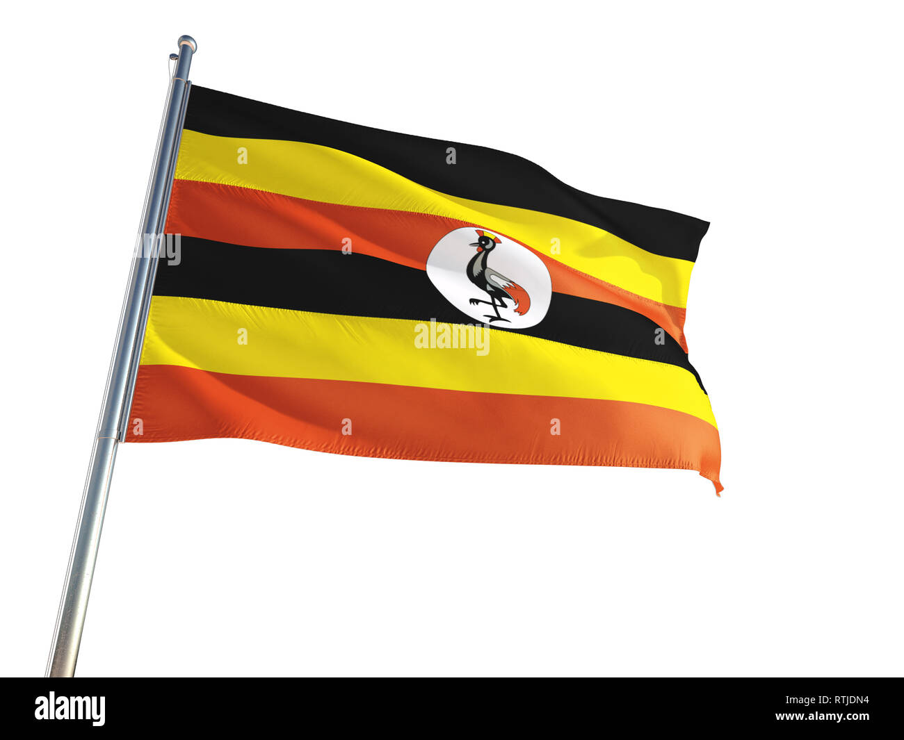 Uganda National Flag waving in the wind, isolated white background ...
