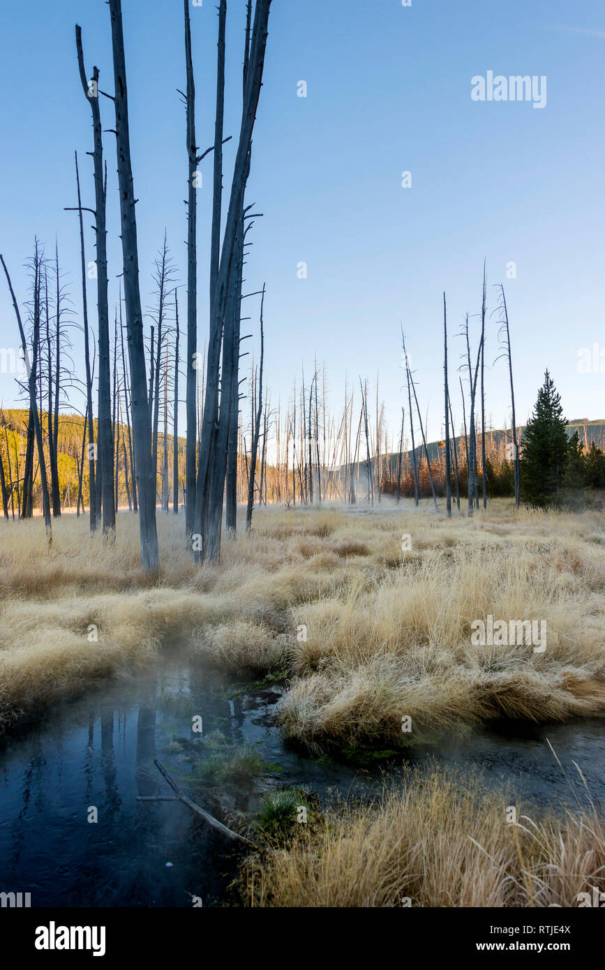 Obsidian Creek, Yellowstone National Park, USA Stock Photo - Alamy