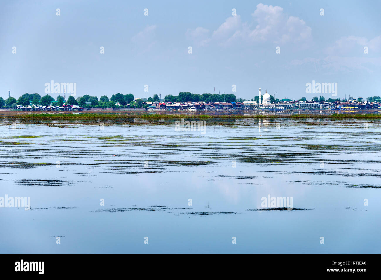 Dal lake, Srinagar, Jammu and Kashmir, J&K, India Stock Photo - Alamy