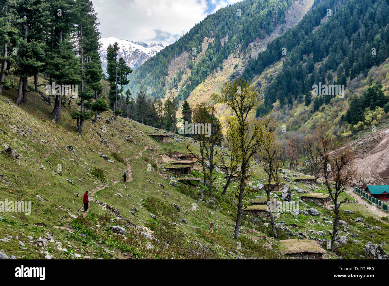 Mountain landscape, Jammu and Kashmir, India Stock Photo - Alamy