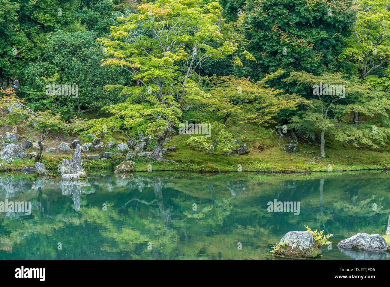 The garden of Tenryu-ji temple. Designated as a Special Place of Scenic ...
