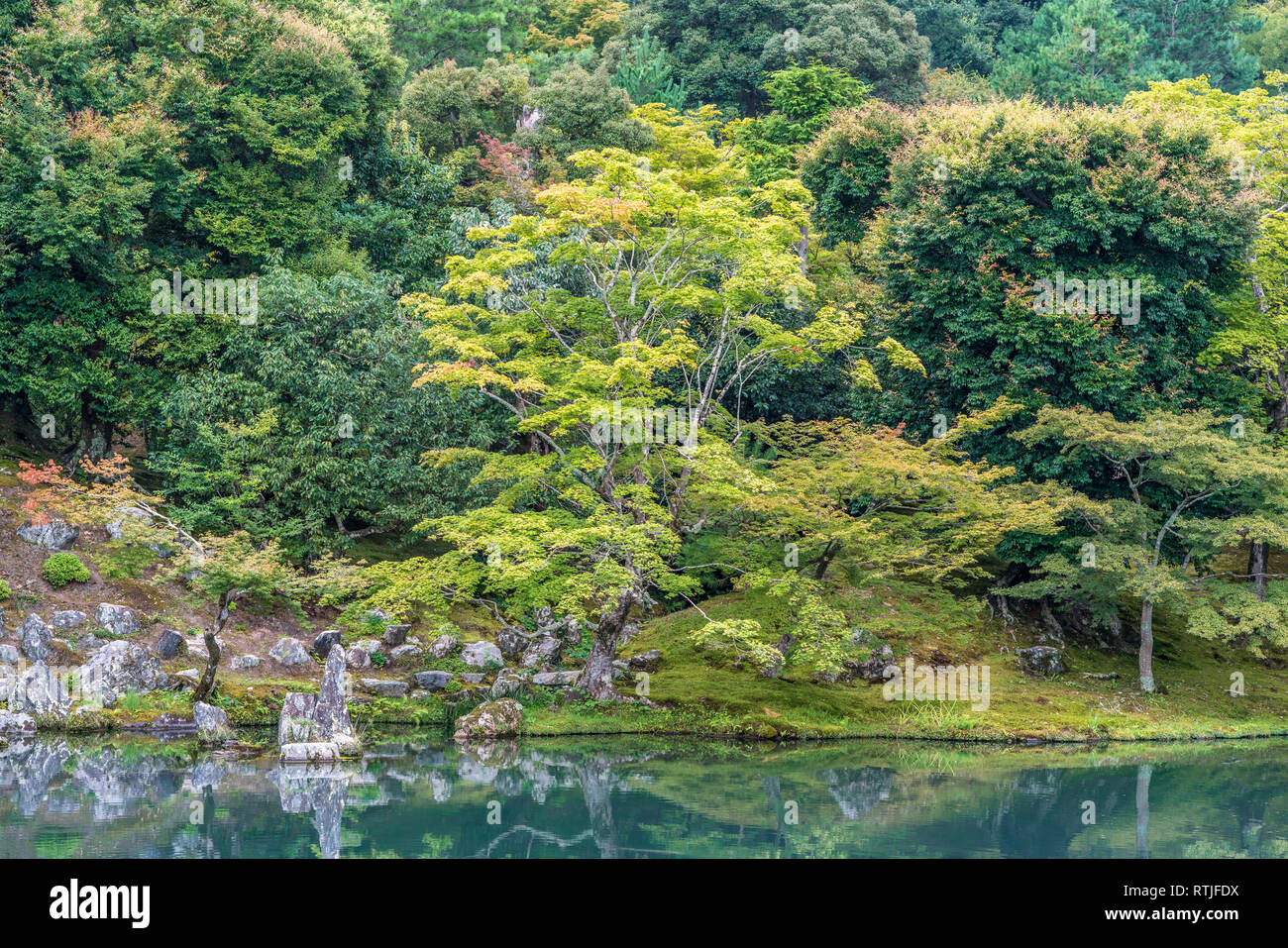 The garden of Tenryu-ji temple. Designated as a Special Place of Scenic ...