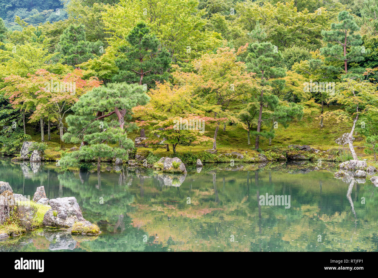 The garden of Tenryu-ji temple. Designated as a Special Place of Scenic ...