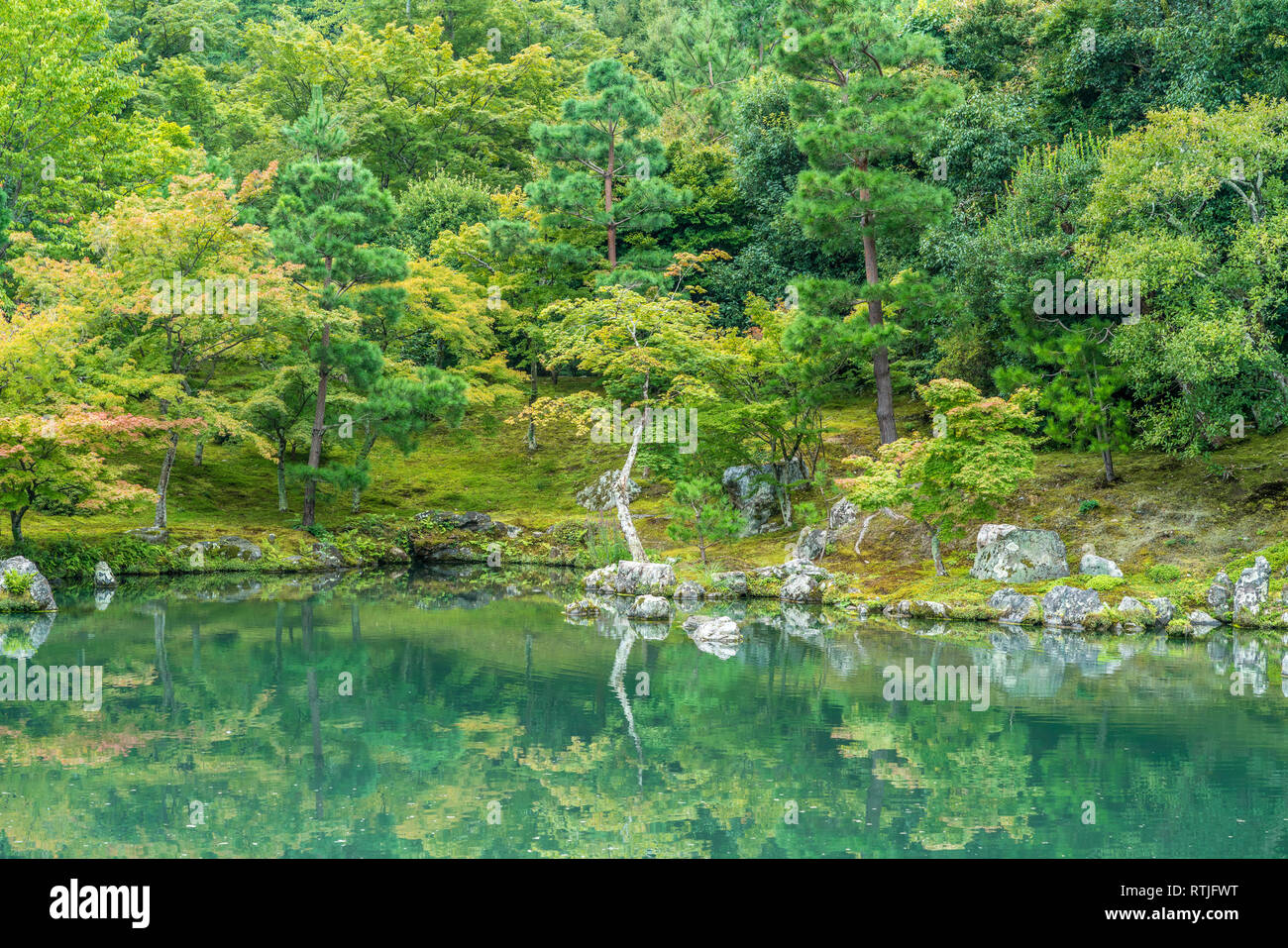 The garden of Tenryu-ji temple. Designated as a Special Place of Scenic ...