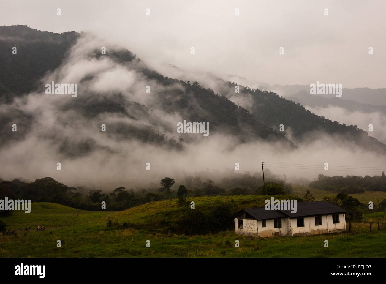 Gray day, clouds and mist over the mountain of cloudy wet forest Stock ...