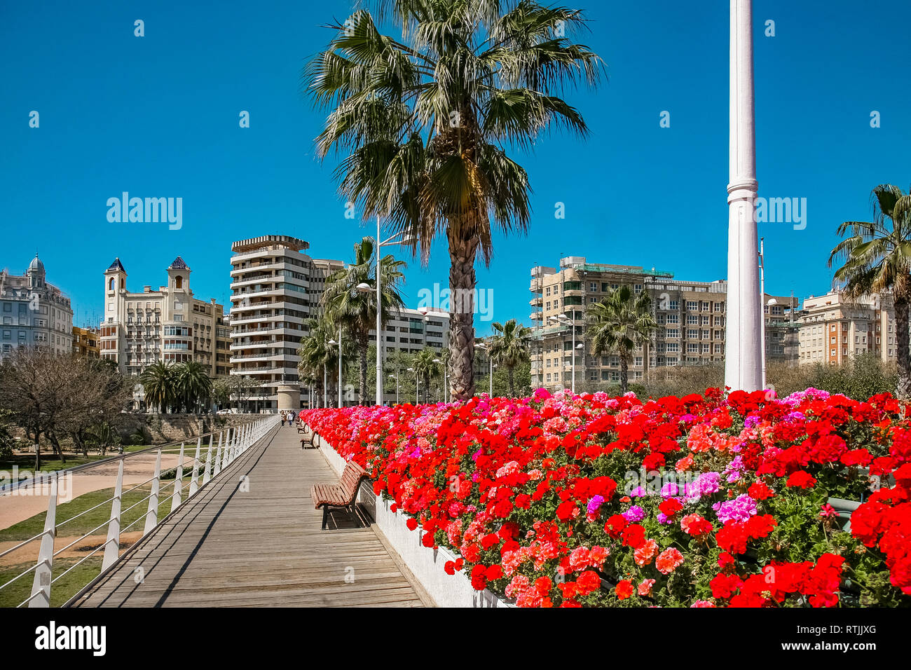 Spain Valencia - bridge of flowers Stock Photo - Alamy