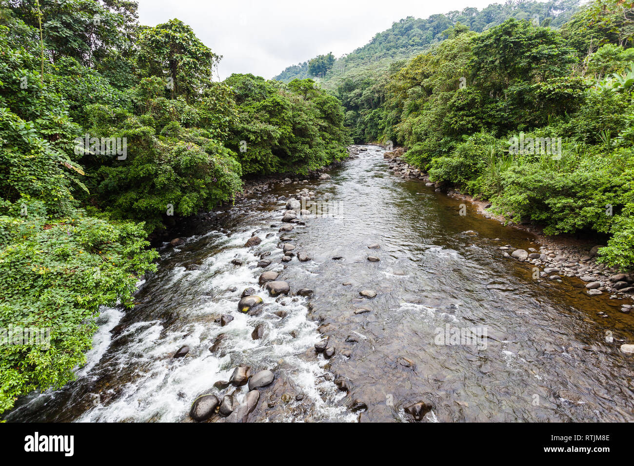River with clean and crystal clear water and many rocks surrounded by ...