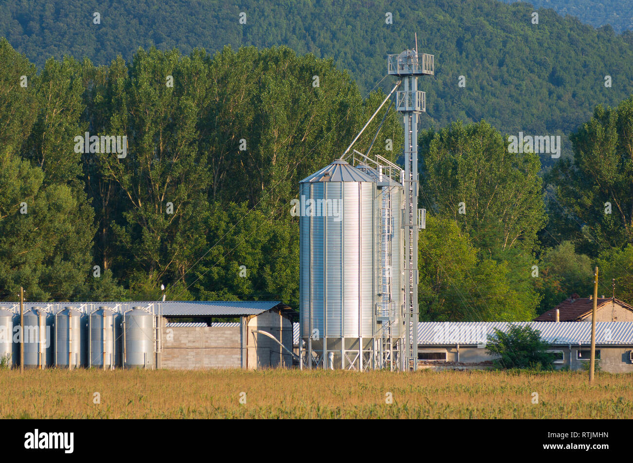 Pig food silos Stock Photo - Alamy
