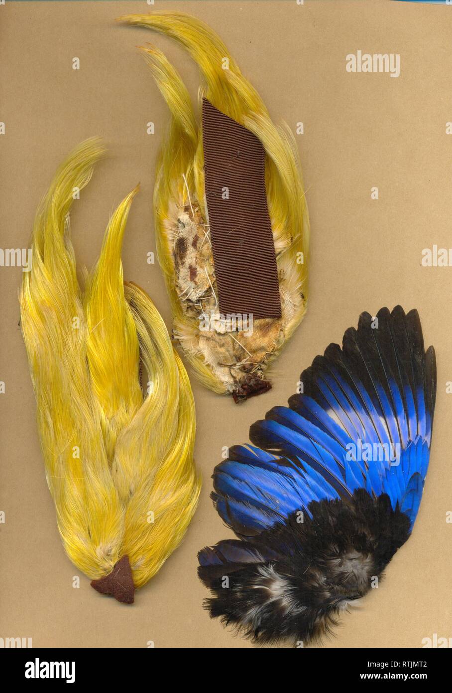 feathers from Victorian milliner's stock circa 1885, showing front and ...