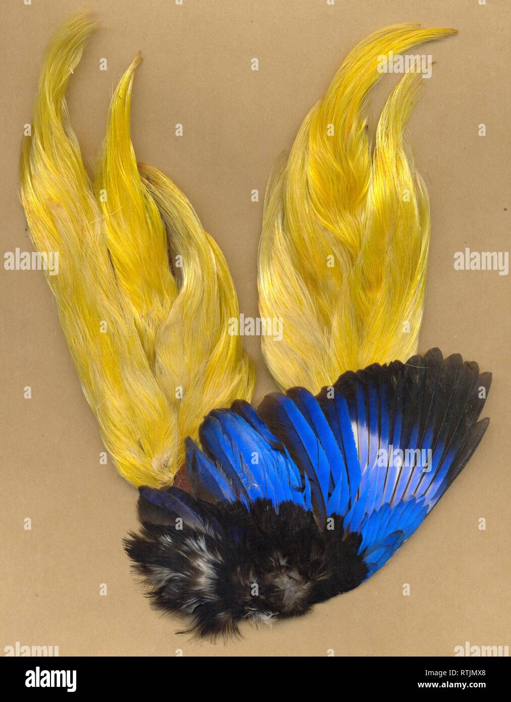 Bird feathers for hats hi-res stock photography and images - Alamy