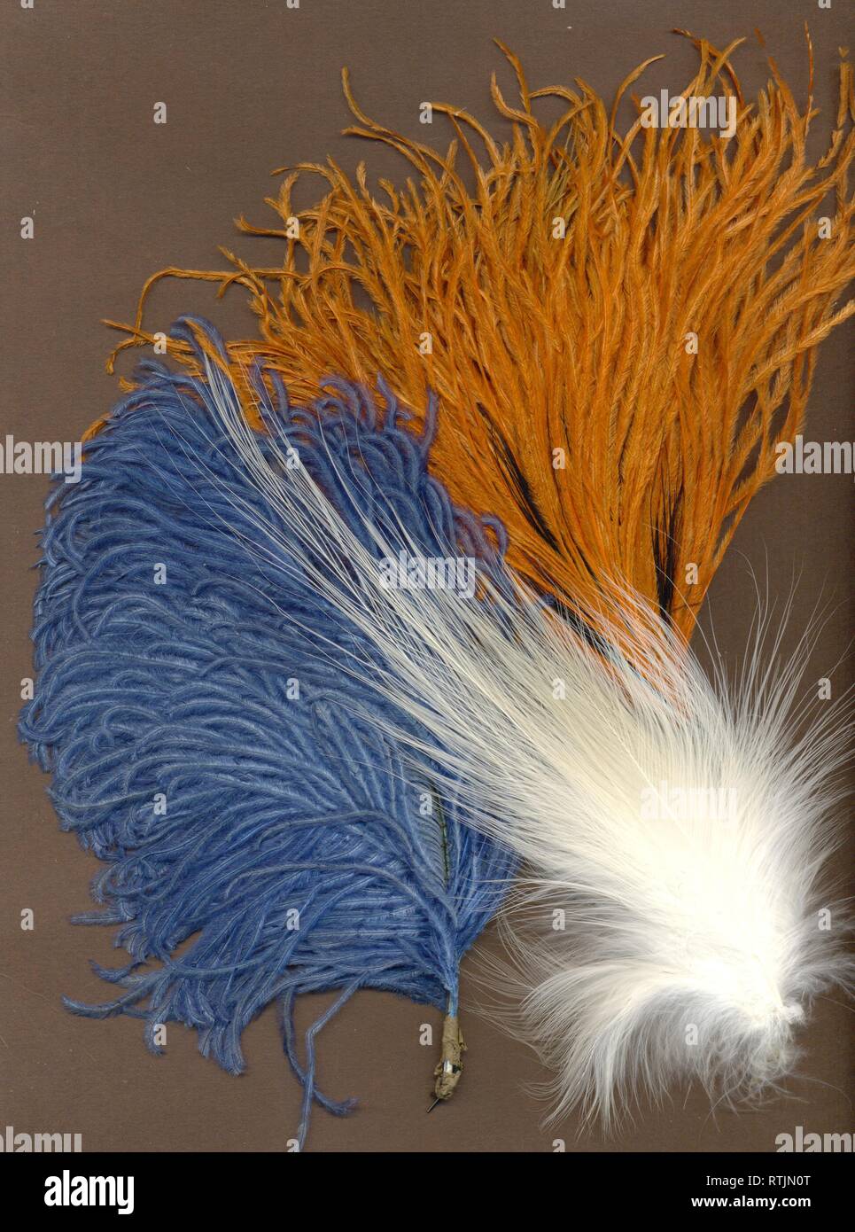 dyed ostrich feathers from Victorian milliner's stock circa 1885 Stock ...
