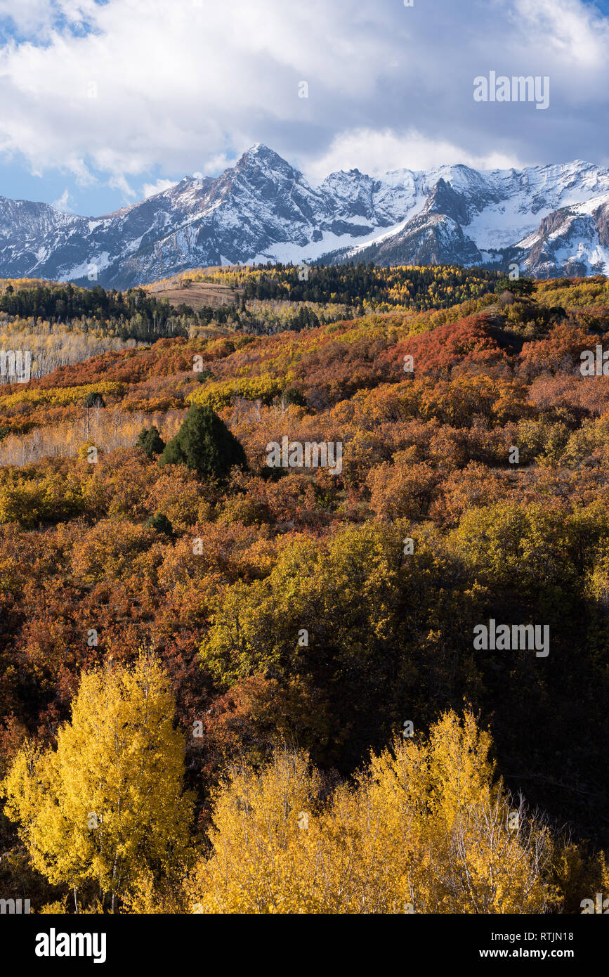 Uncompahgre national forest hi-res stock photography and images - Alamy