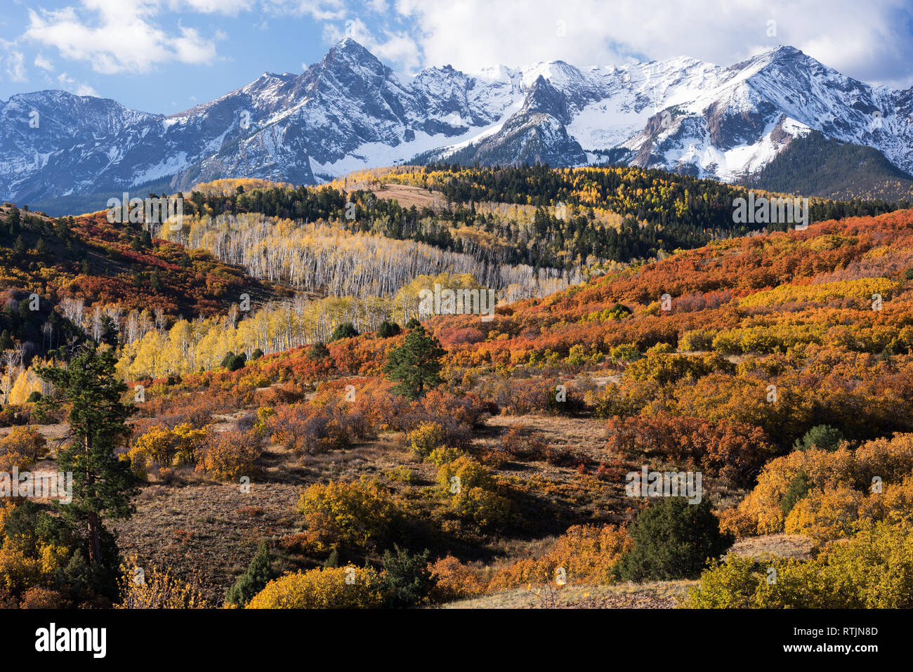 Looking south from the Dallas Divide view point at the Mount Sneffels ...