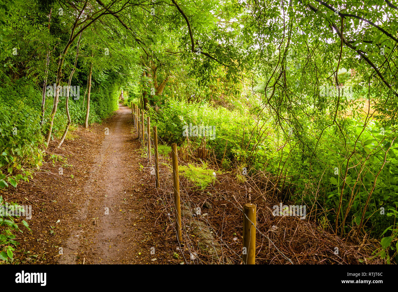 Footpath in Channelsea River near Mill Meads,Newham, Stratford, London ...