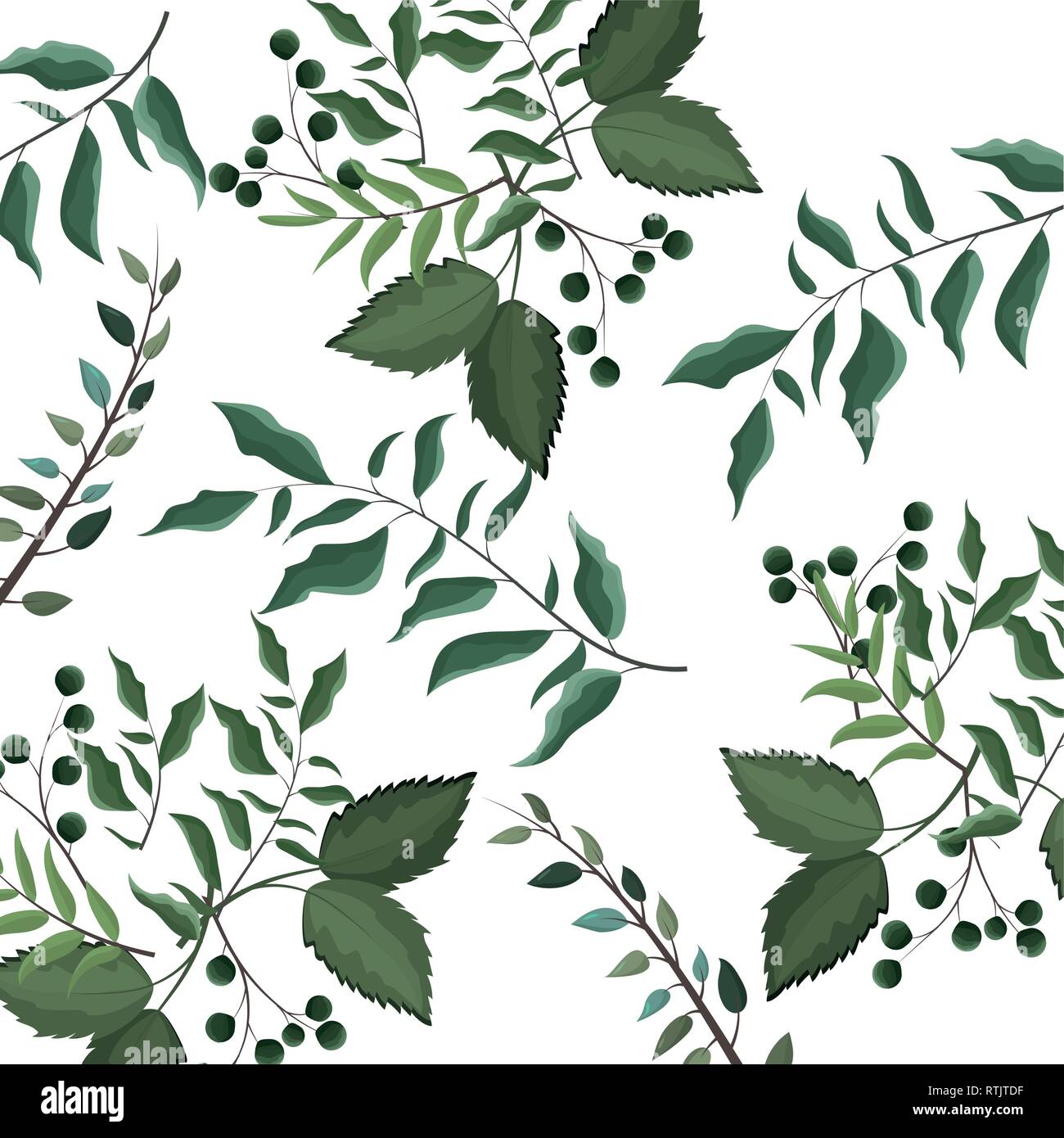 Leaves nature background Stock Vector Image & Art - Alamy