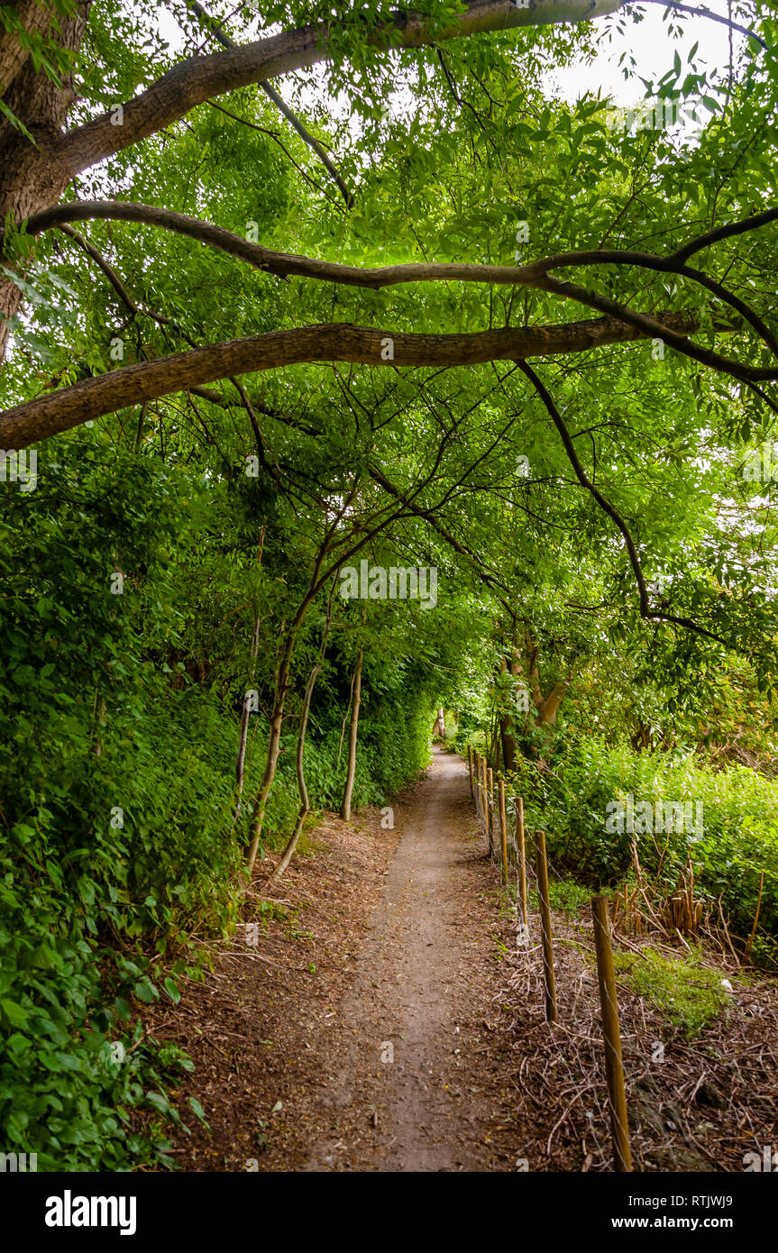 Footpath in Channelsea River near Mill Meads Stock Photo - Alamy