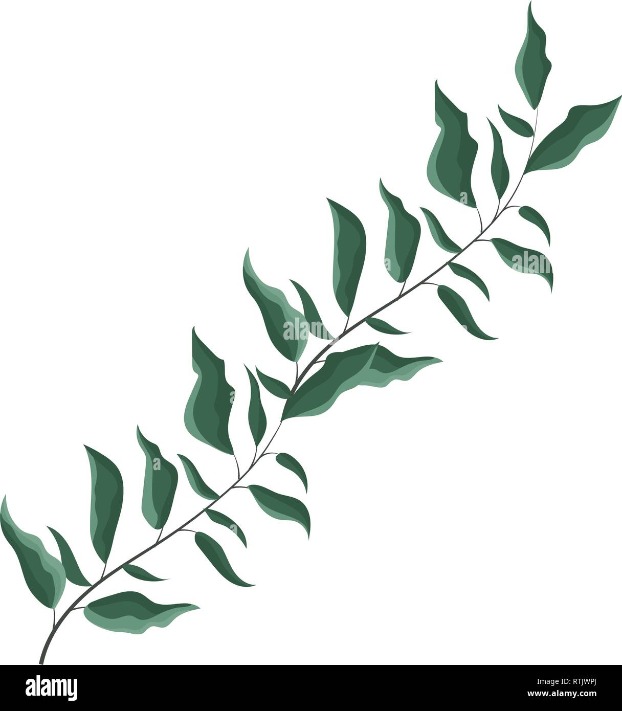 Leaves bouquet drawing Stock Vector Image & Art - Alamy