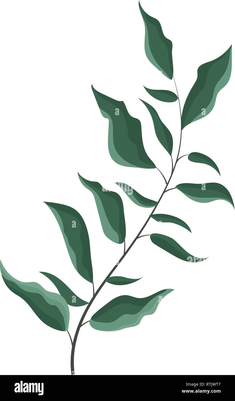 Leaves bouquet drawing Stock Vector Image & Art - Alamy