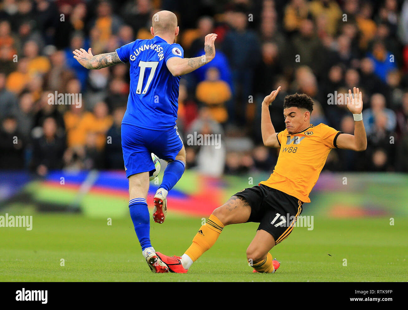 Morgan gibbs white wolves hi-res stock photography and images - Alamy
