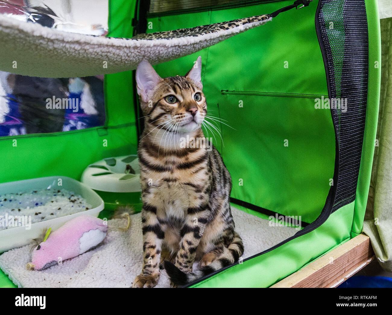 Trophies box hi-res stock photography and images - Alamy