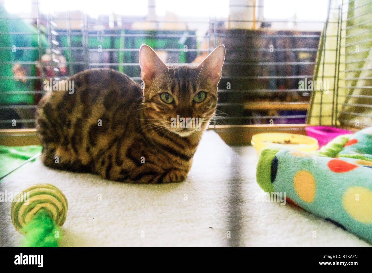 Trophies box hi-res stock photography and images - Alamy