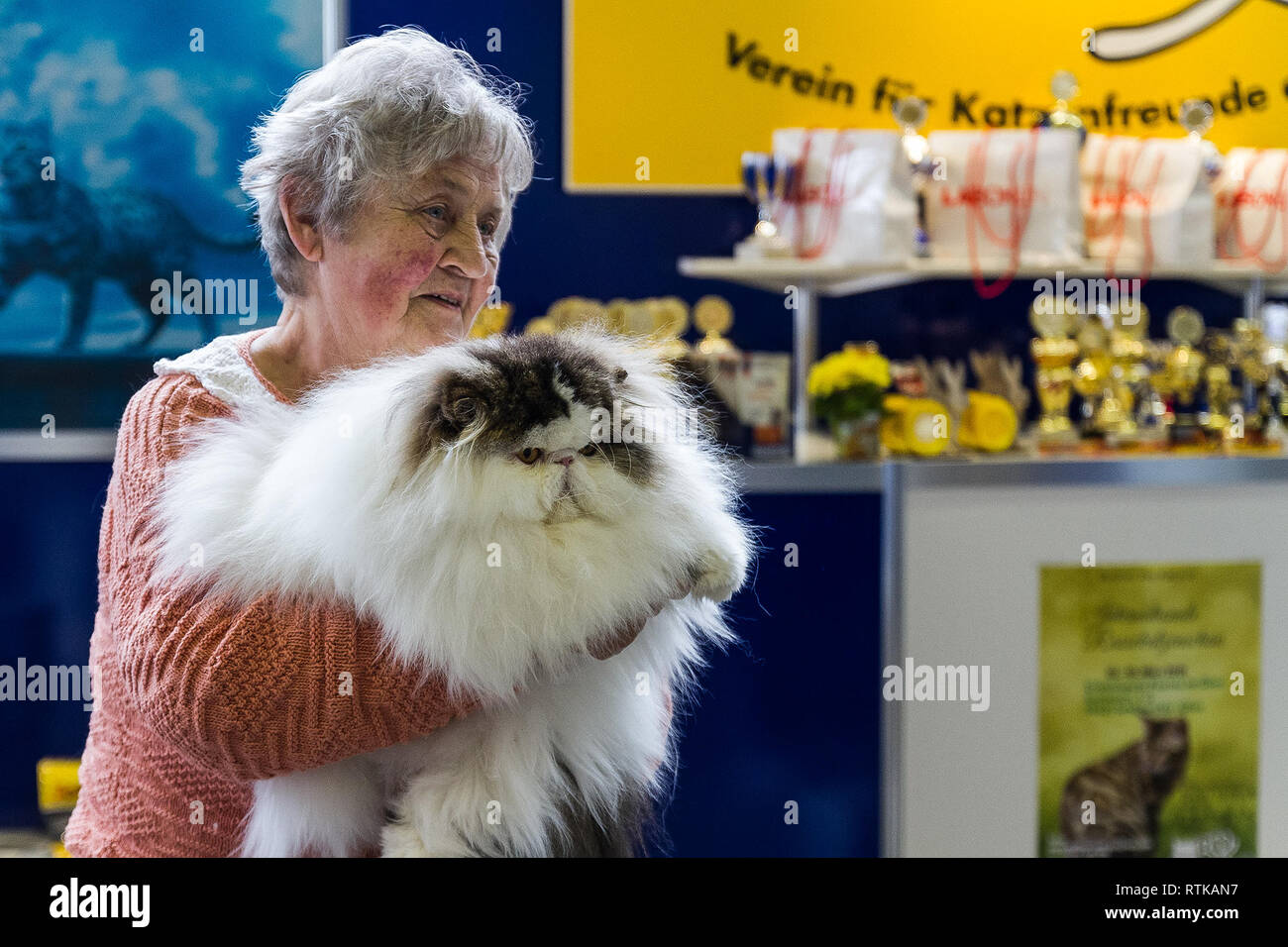 Categories of animals hi-res stock photography and images - Alamy