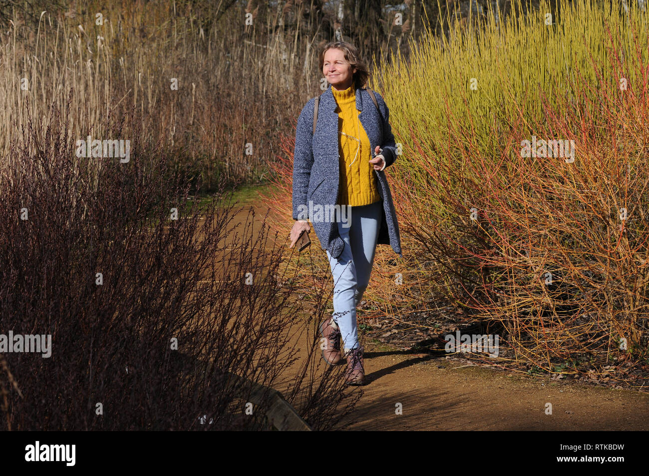 Isabela plantation hi-res stock photography and images - Alamy