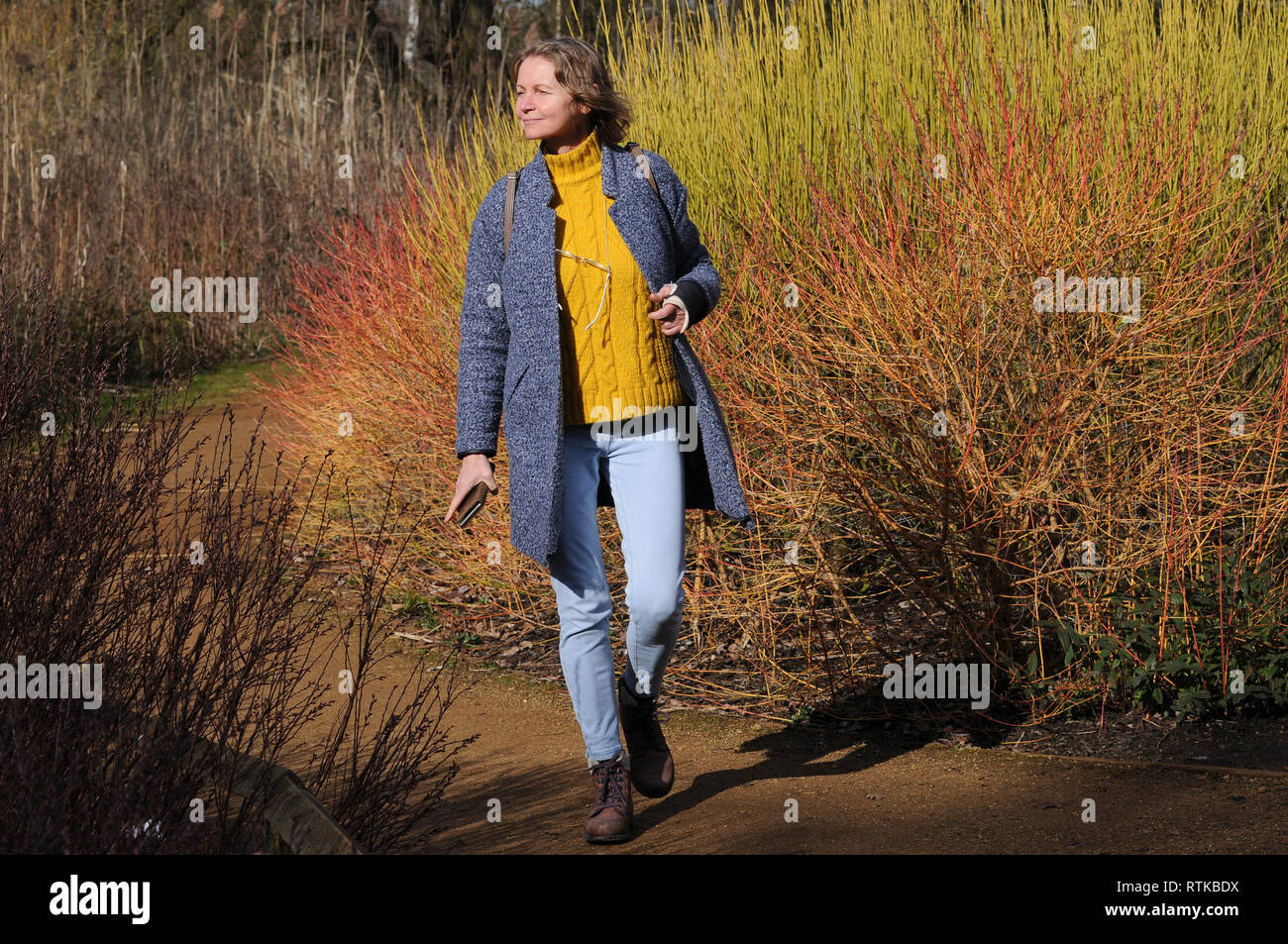 Isabela plantation hi-res stock photography and images - Alamy