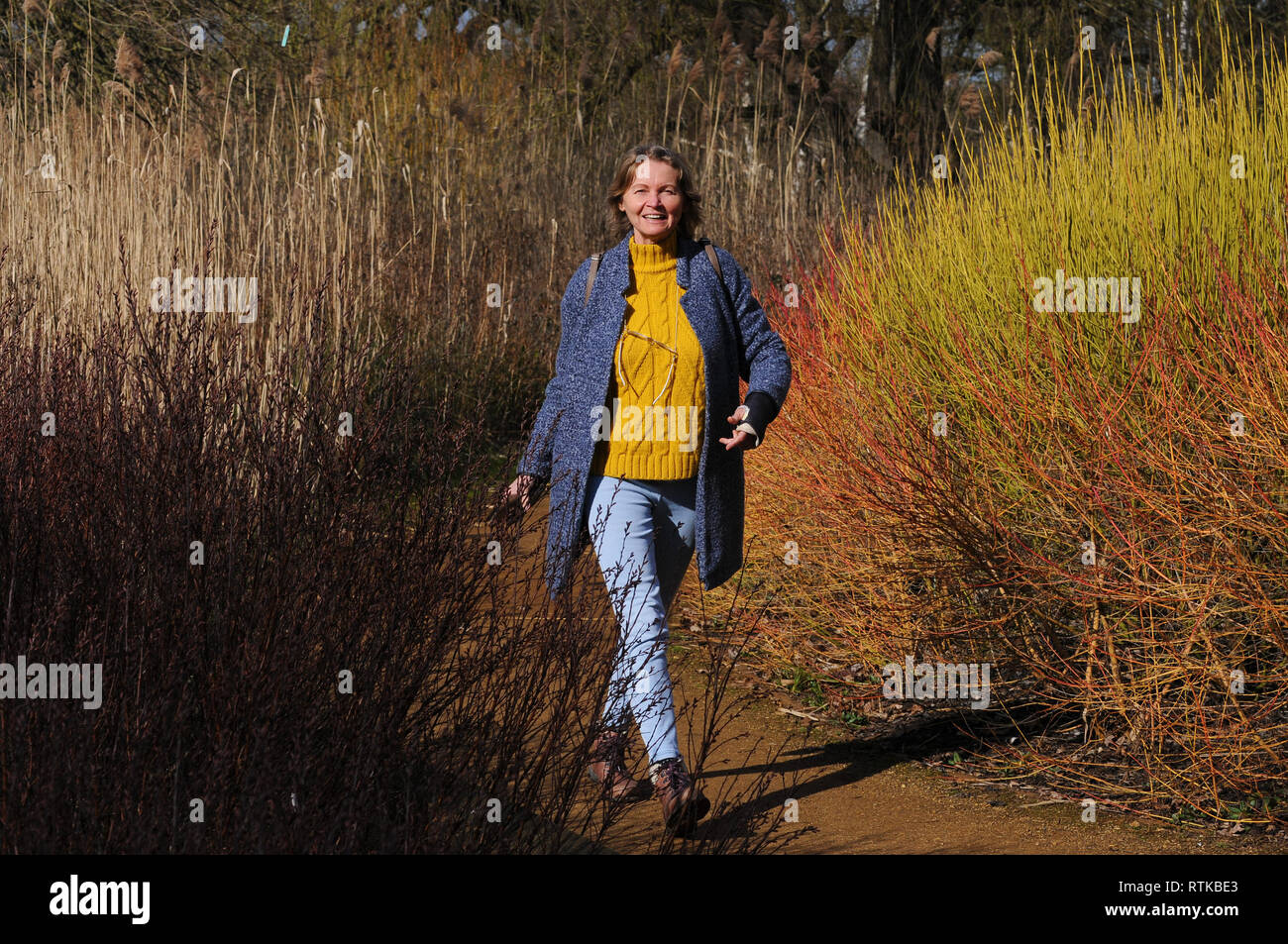 Sunny weather elena hi-res stock photography and images - Alamy