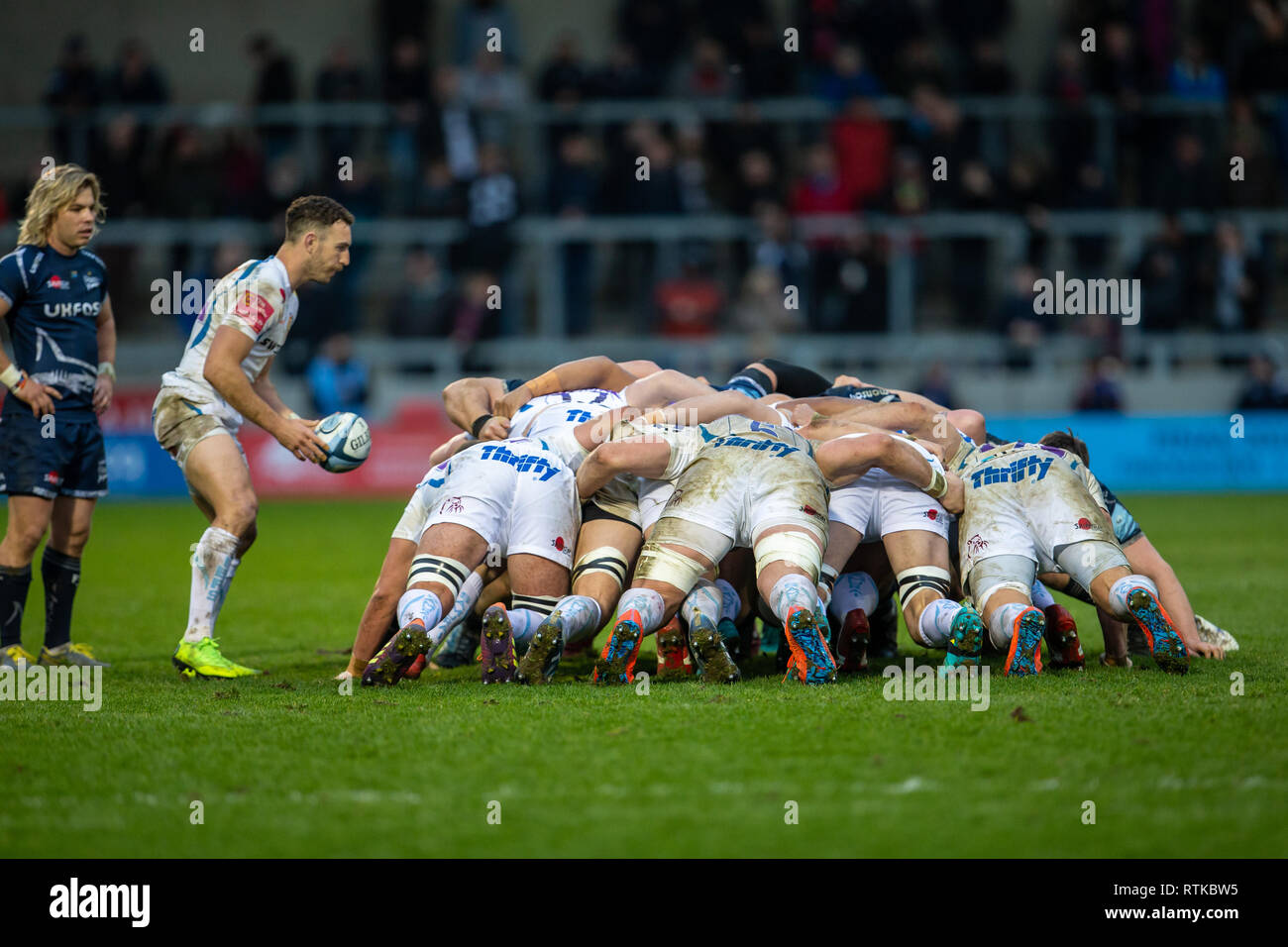 Nic white exeter hi-res stock photography and images - Alamy