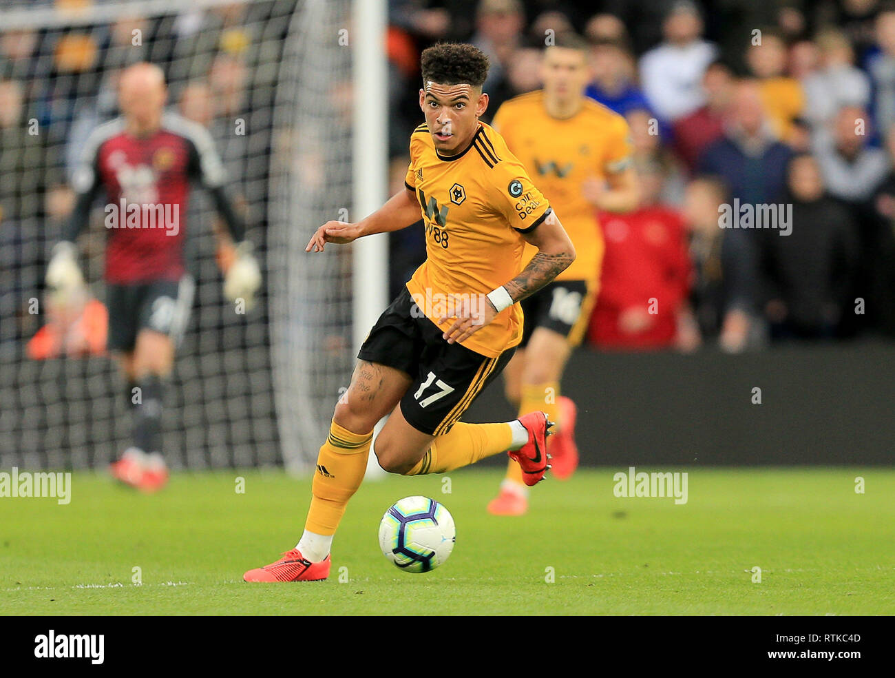 Morgan gibbs white wolves hi-res stock photography and images - Alamy