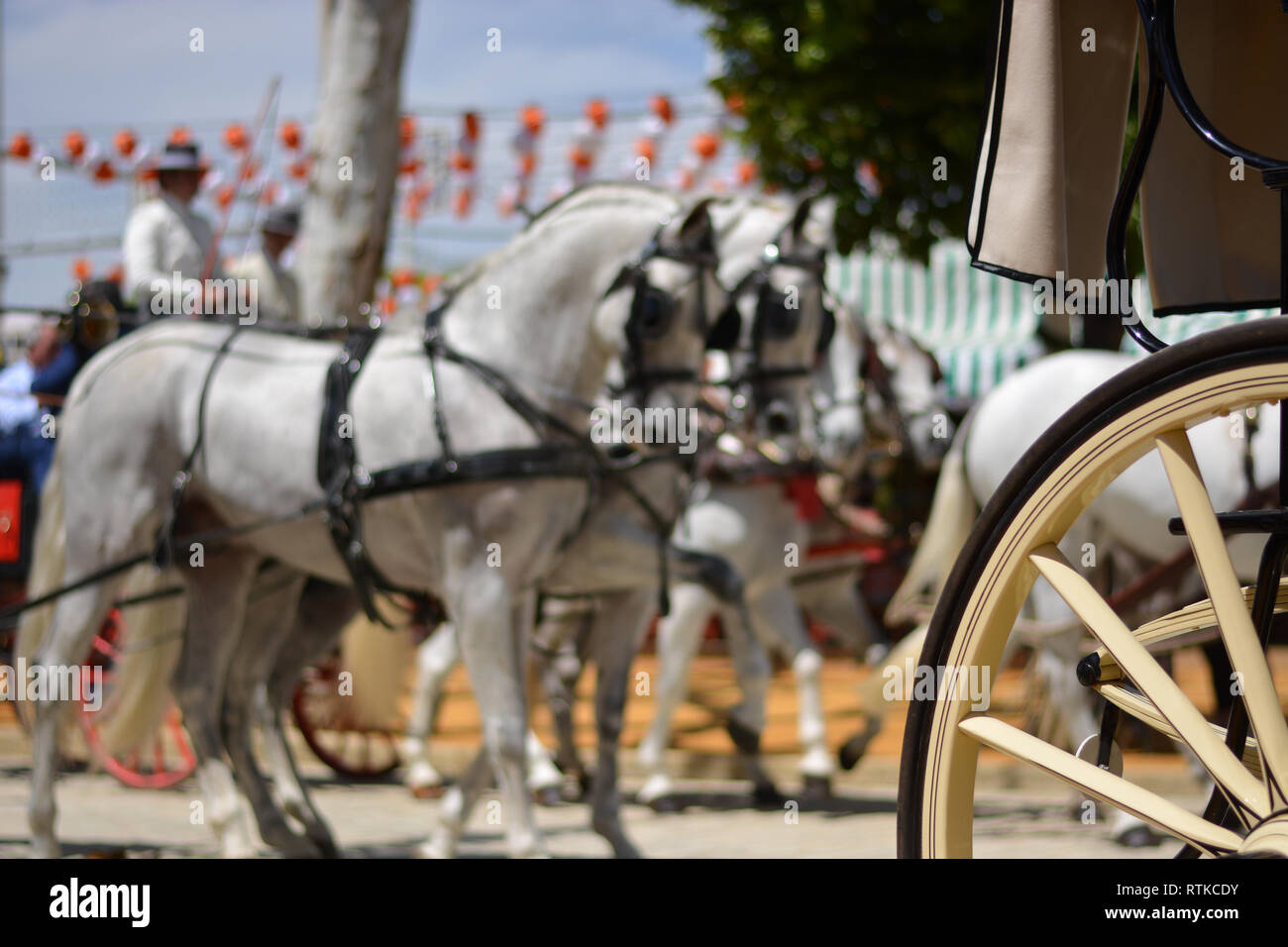 white horses and wheels Stock Photo - Alamy