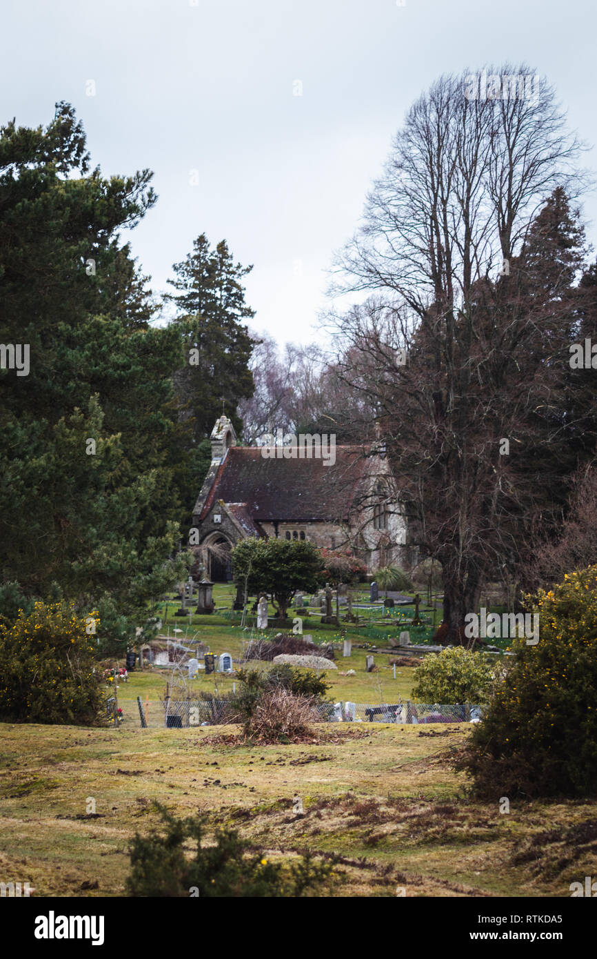 Old English church through the trees Stock Photo - Alamy