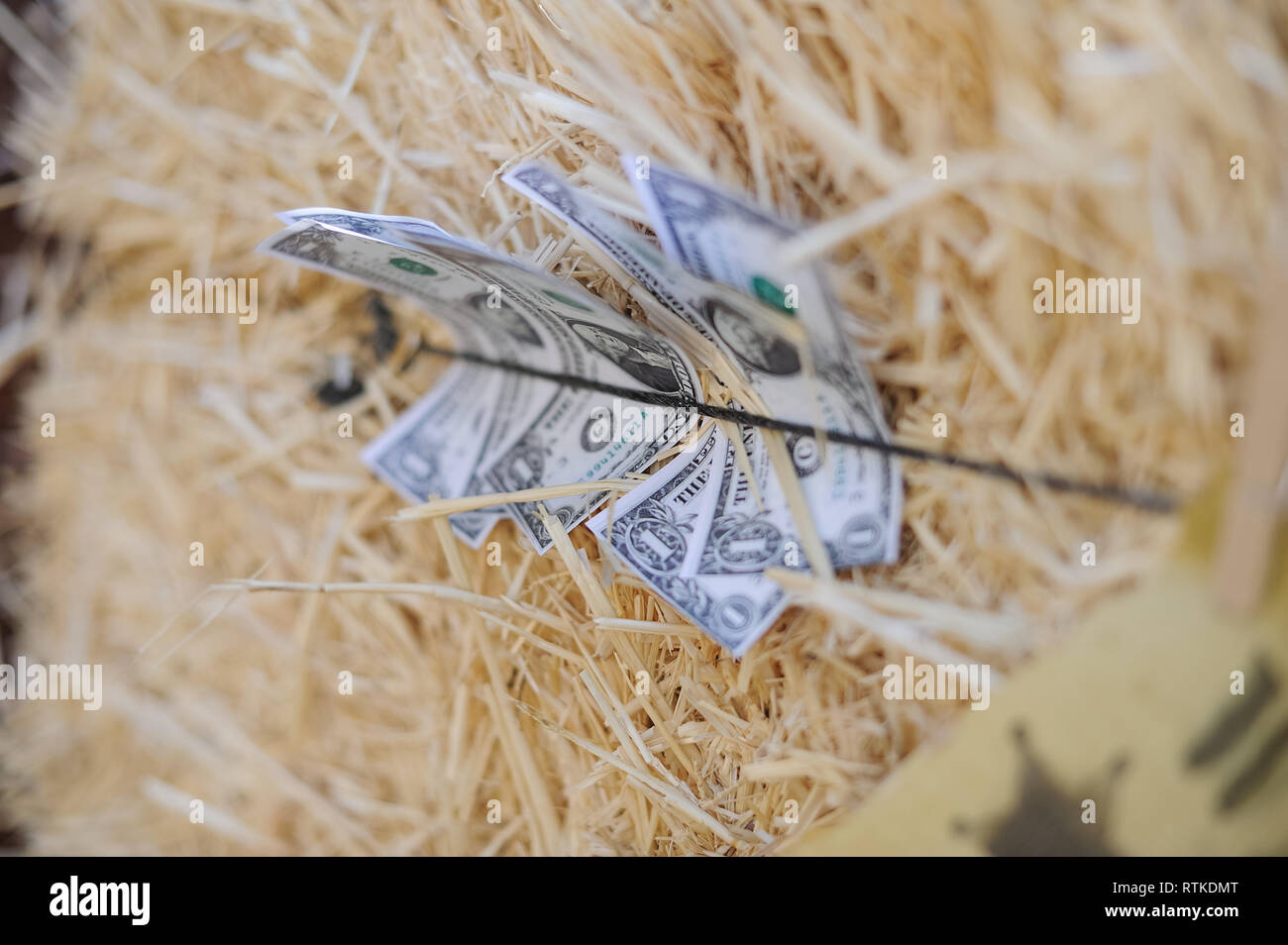 dollar bills subject to straw bale Stock Photo - Alamy