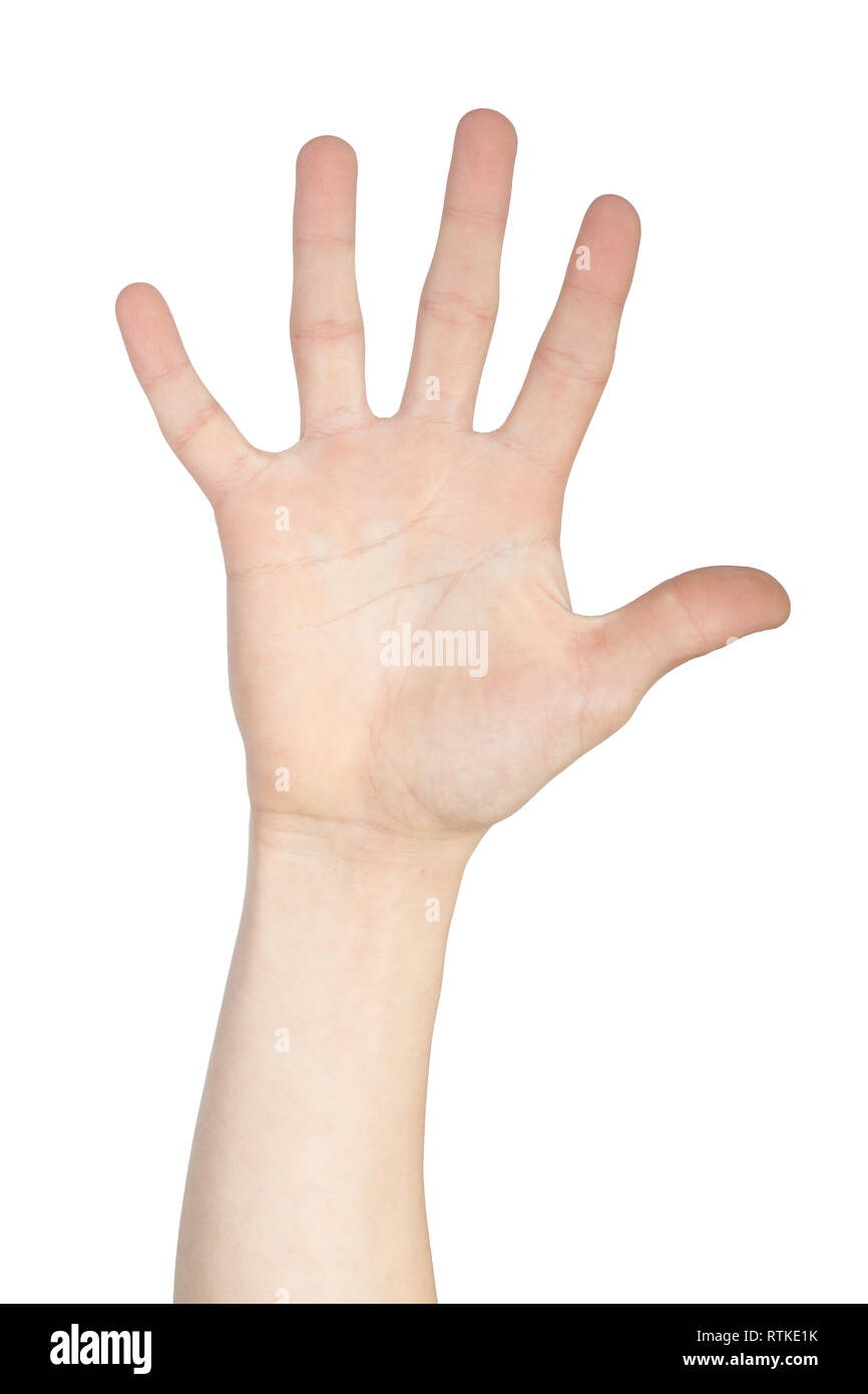 Caucasian hand doing American Sign Language showing the symbol for 5 ...