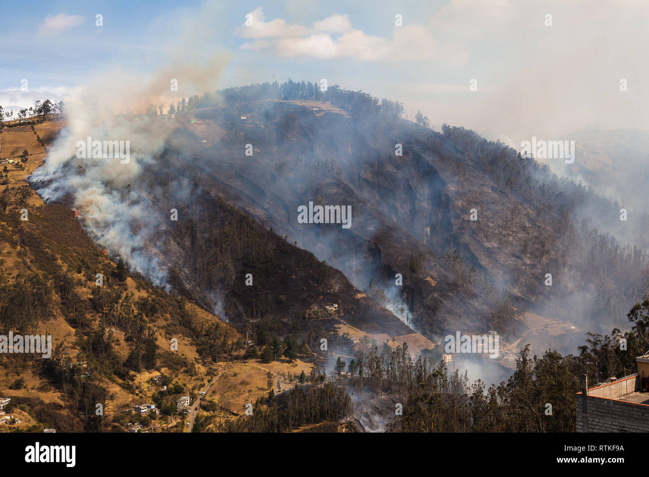 Terrible forest fire on the slopes of a mountain in the urban area of ...