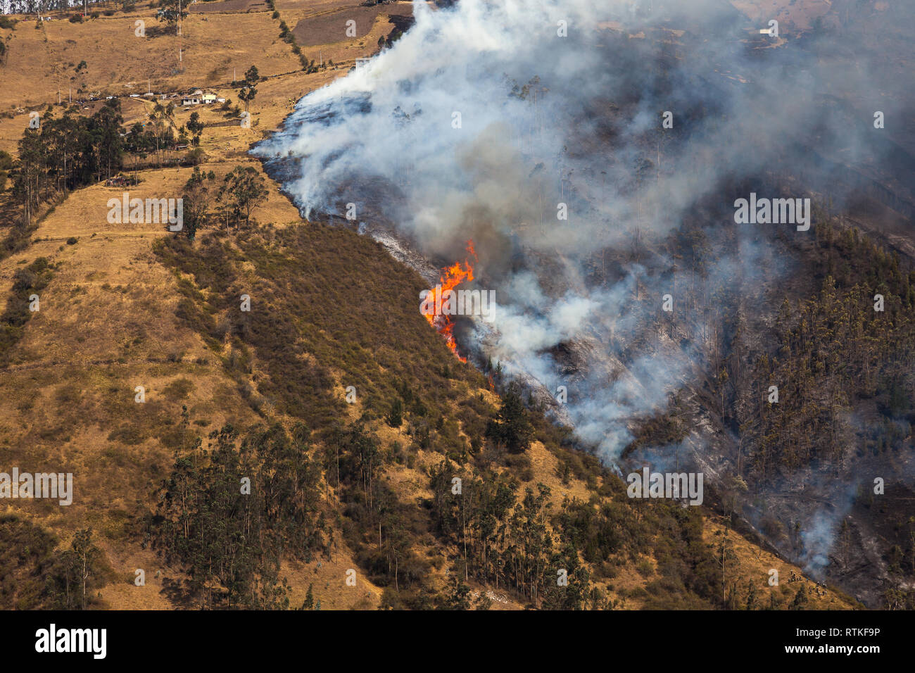 Terrible forest fire on the slopes of a mountain in the urban area of ...