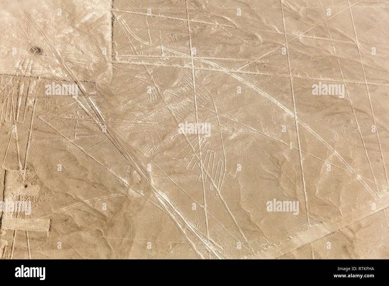 Nazca lines condor hi-res stock photography and images - Alamy