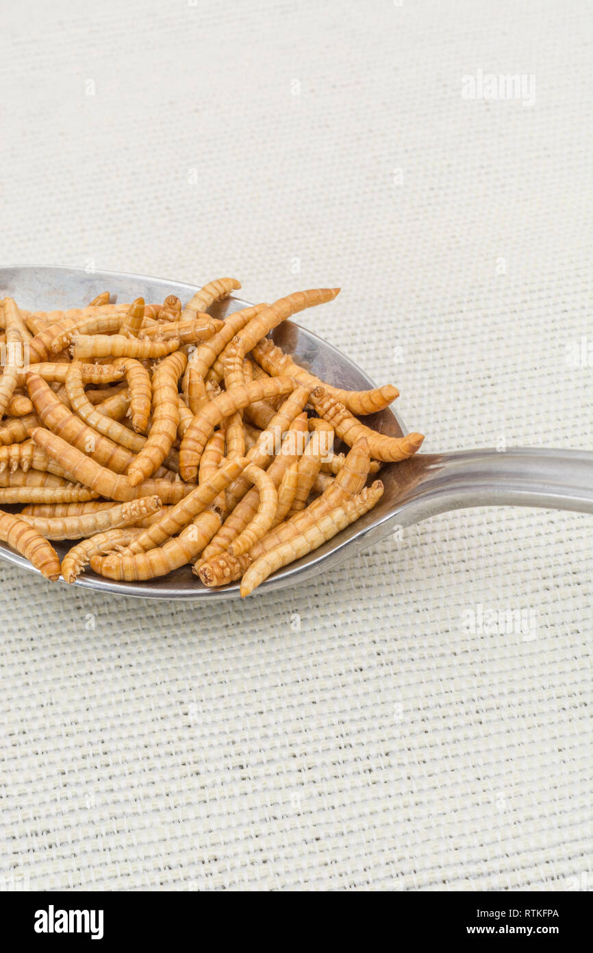 Edible bugs supermarkets hi-res stock photography and images - Alamy