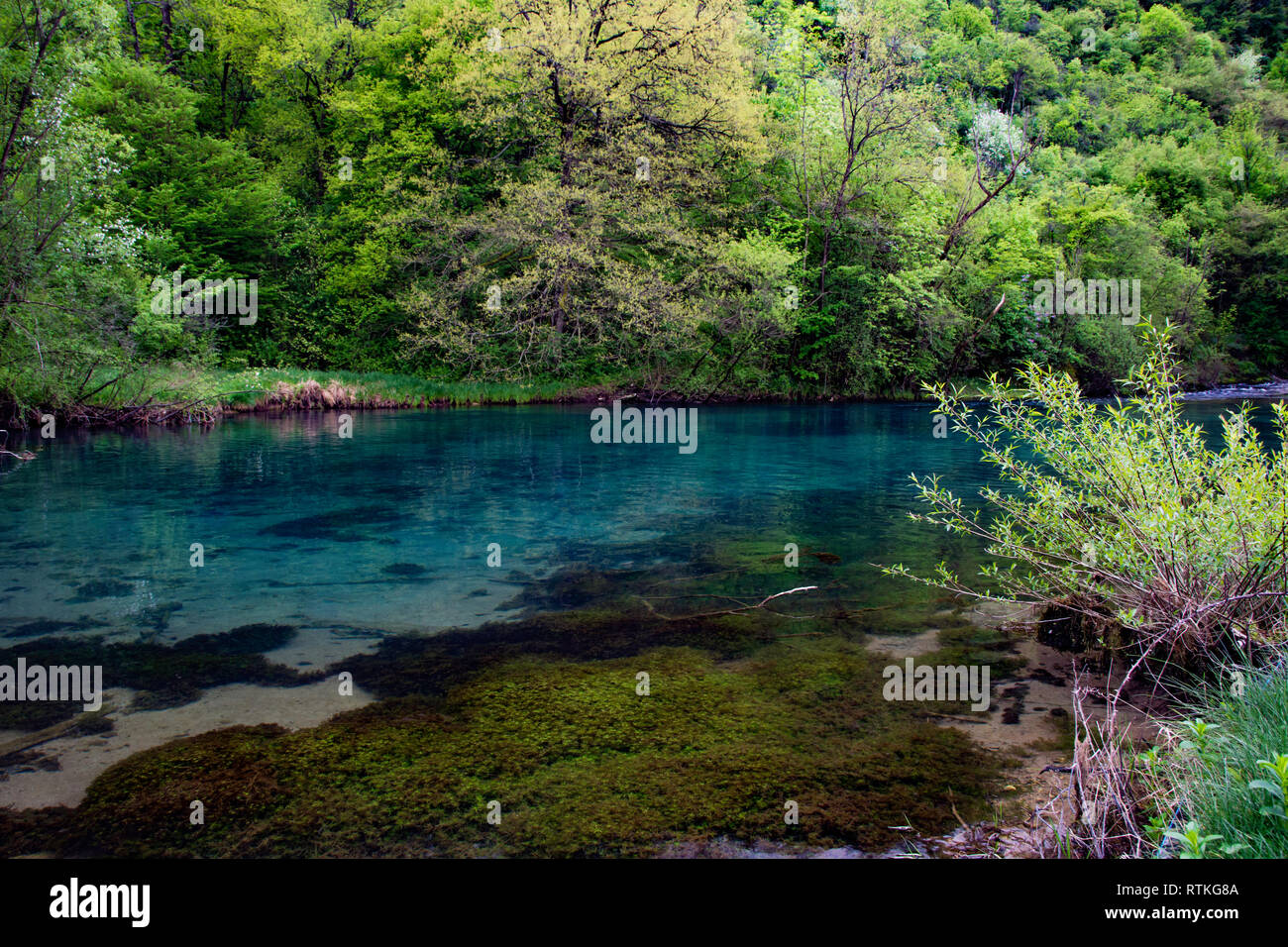 Krupajsko Vrelo beautiful thermal water spring in Serbia near Zagubica ...