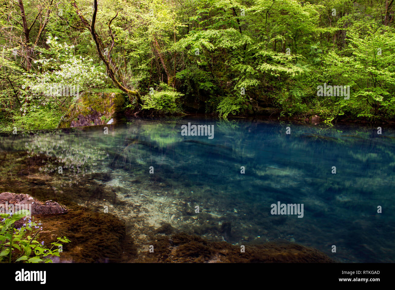 Krupajsko Vrelo beautiful thermal water spring in Serbia near Zagubica ...