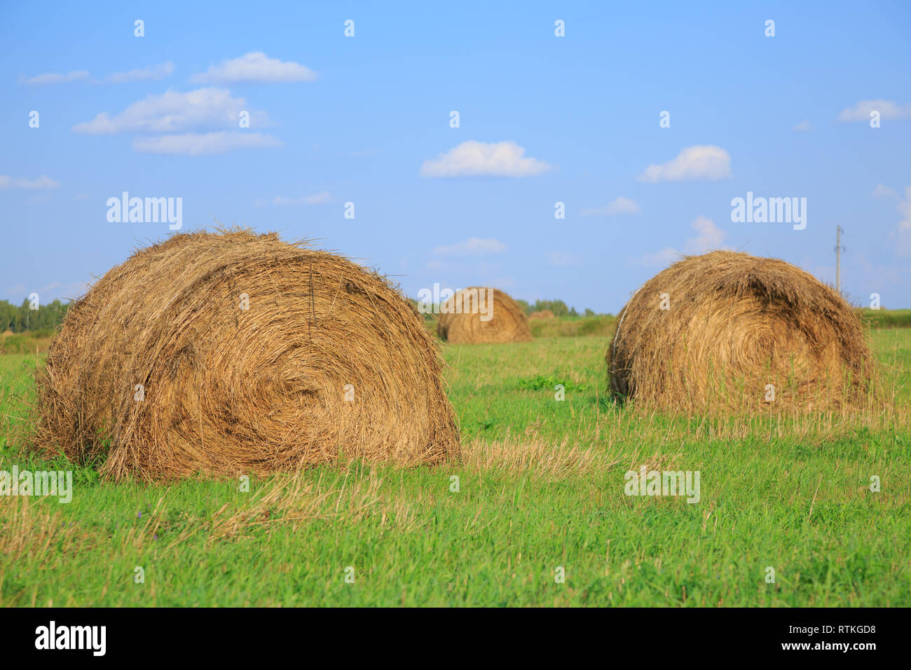 Hay bay roll hi-res stock photography and images - Alamy