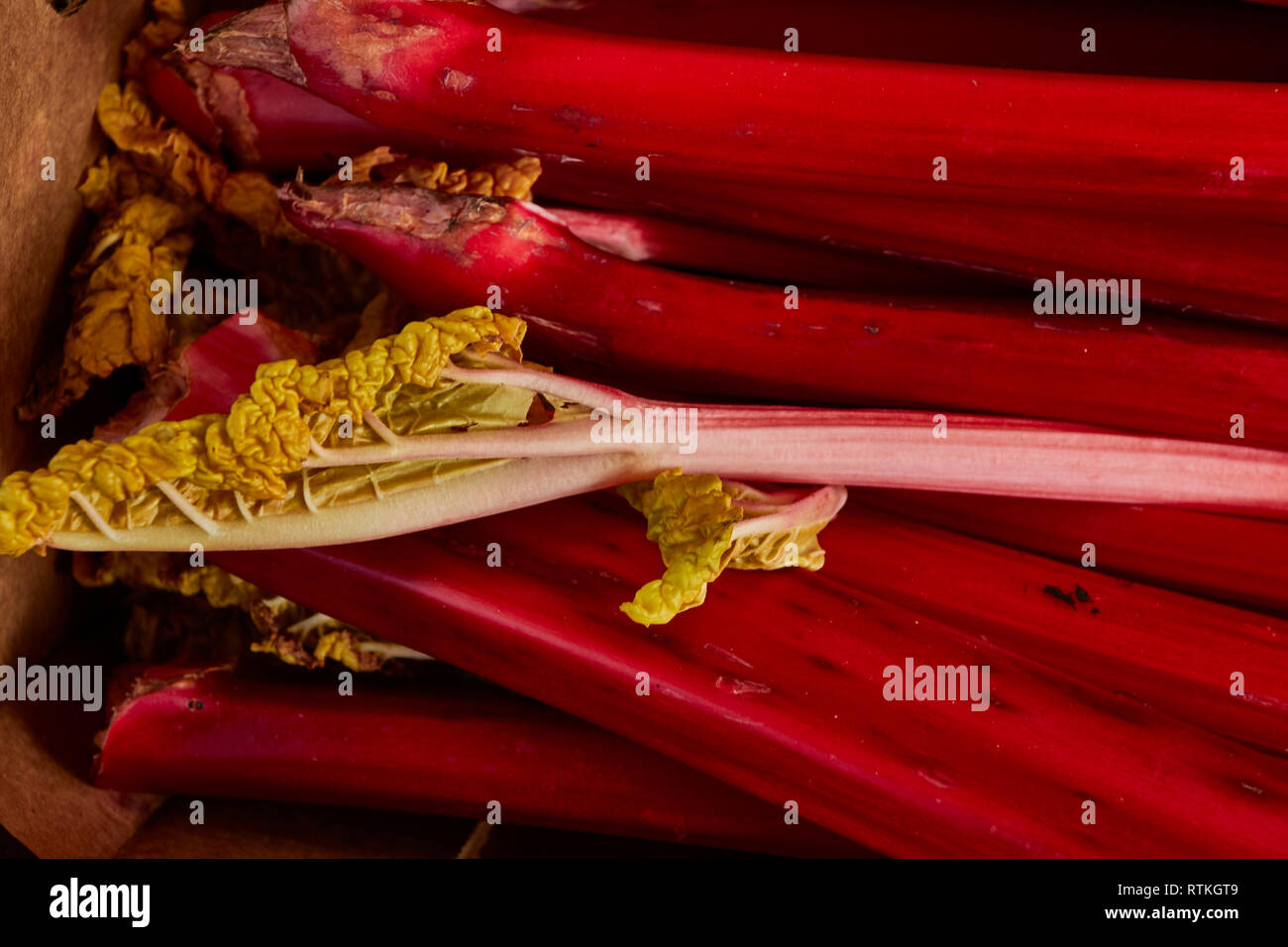 Bunch of crimson red rhubarb stalks and green leaves on sale in England ...