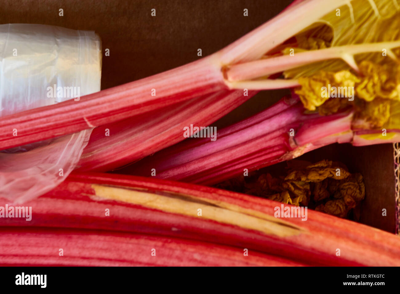 Bunch of crimson red rhubarb stalks and green leaves on sale in England ...