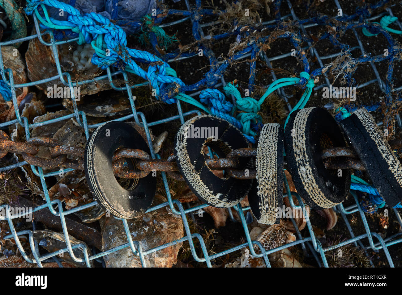 Collatoral damage hi-res stock photography and images - Alamy