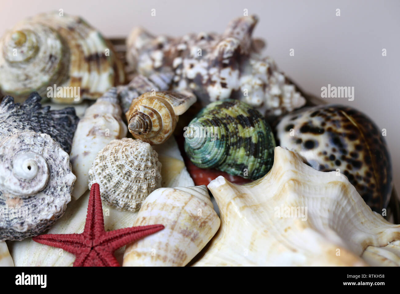 The most amazing photo collection hi-res stock photography and images ...